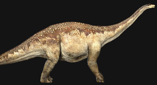 V-ray rig 3D model - TurboSquid 1419078