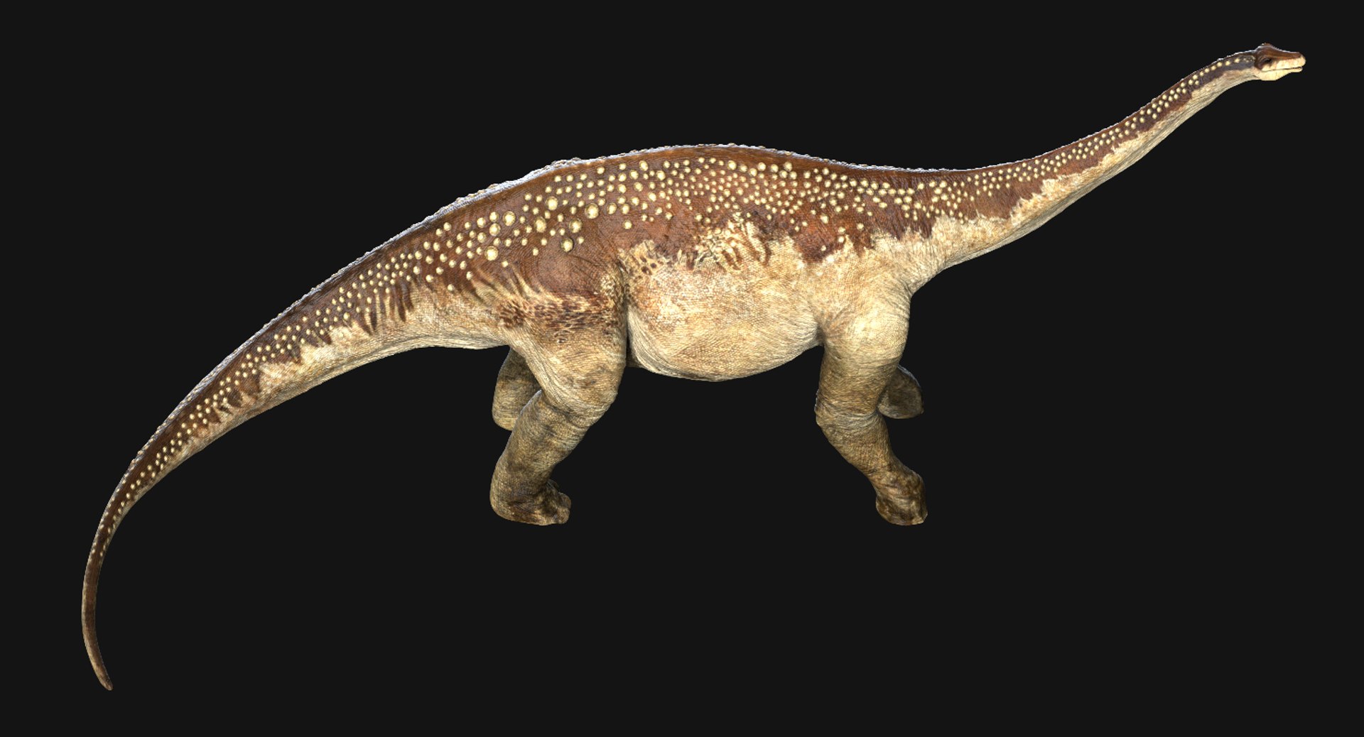 V-ray Rig 3D Model - TurboSquid 1419078