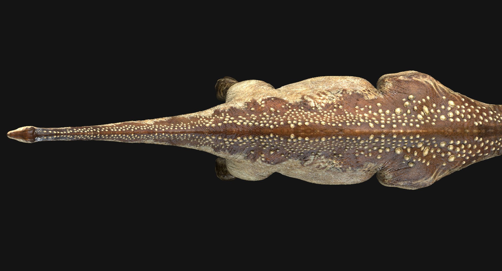 V-ray Rig 3D Model - TurboSquid 1419078