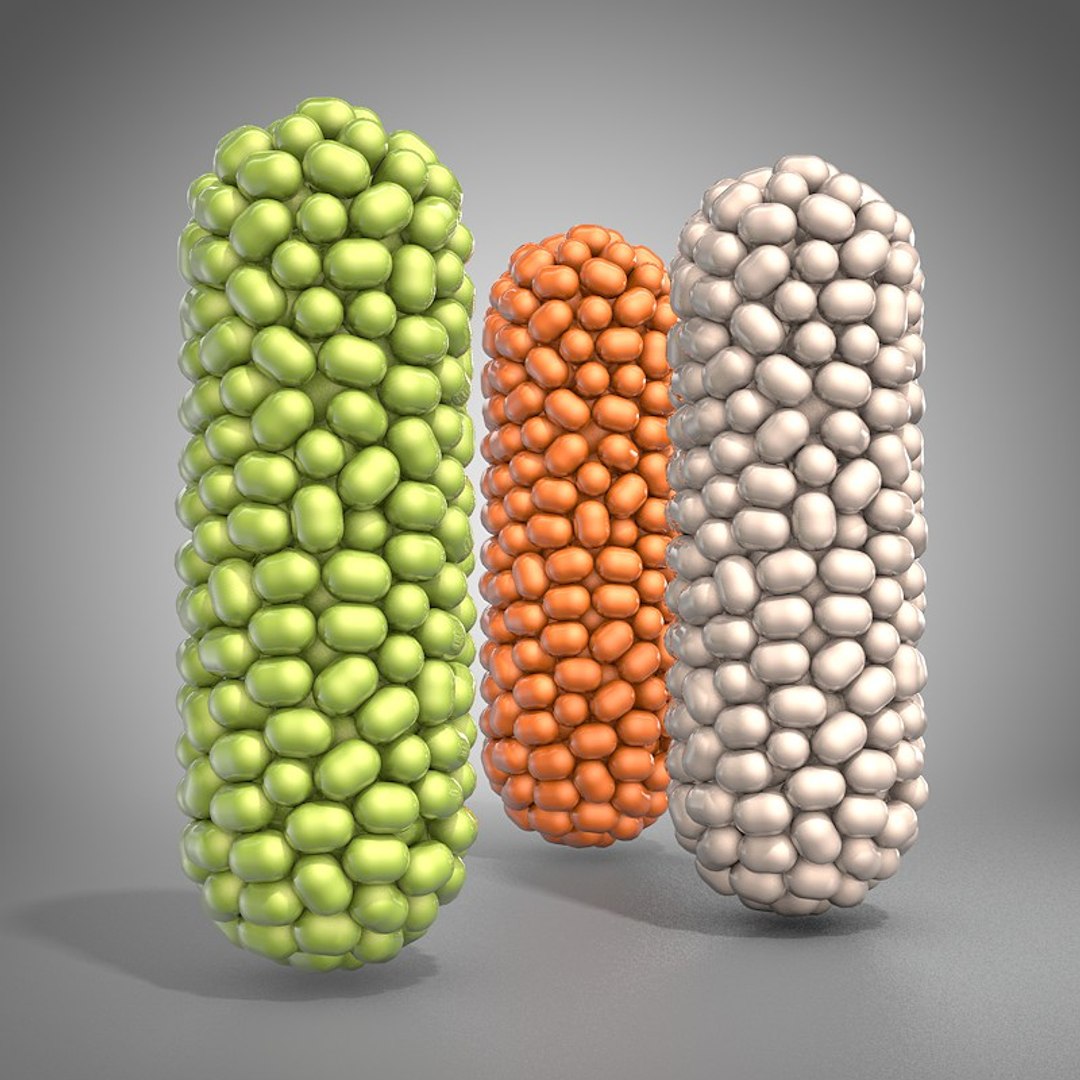 3d Model Pill Capsule