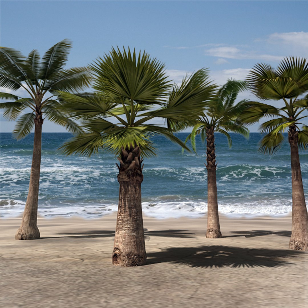 3d Palm Tree Pack
