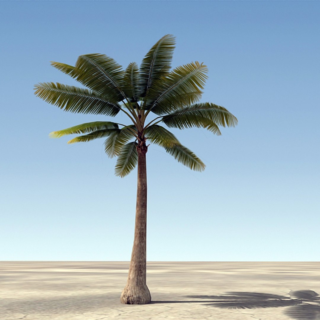 3d Palm Tree Pack