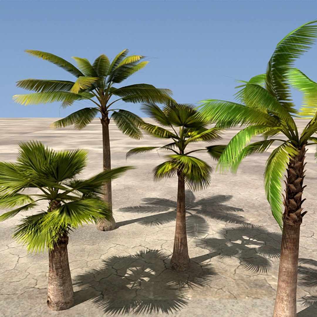 3d Palm Tree Pack