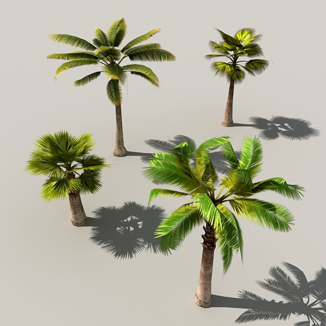 3d Palm Tree Pack