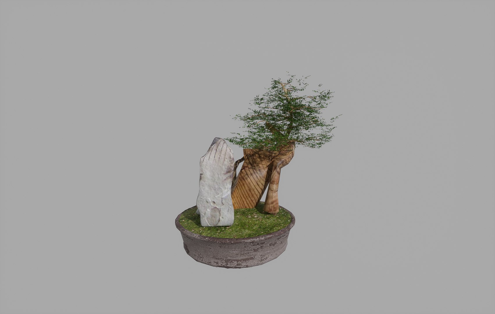 3D Zen Bonsai Model - TurboSquid 2092840