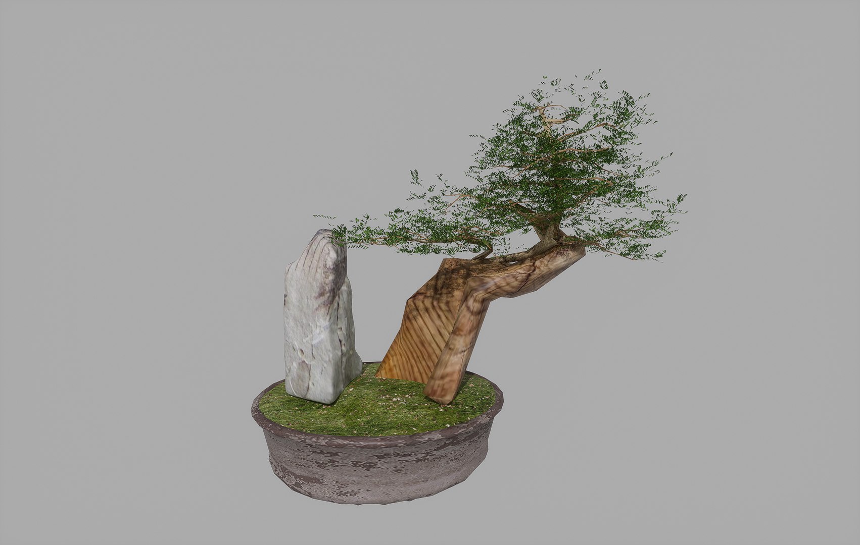 3D Zen Bonsai Model - TurboSquid 2092840