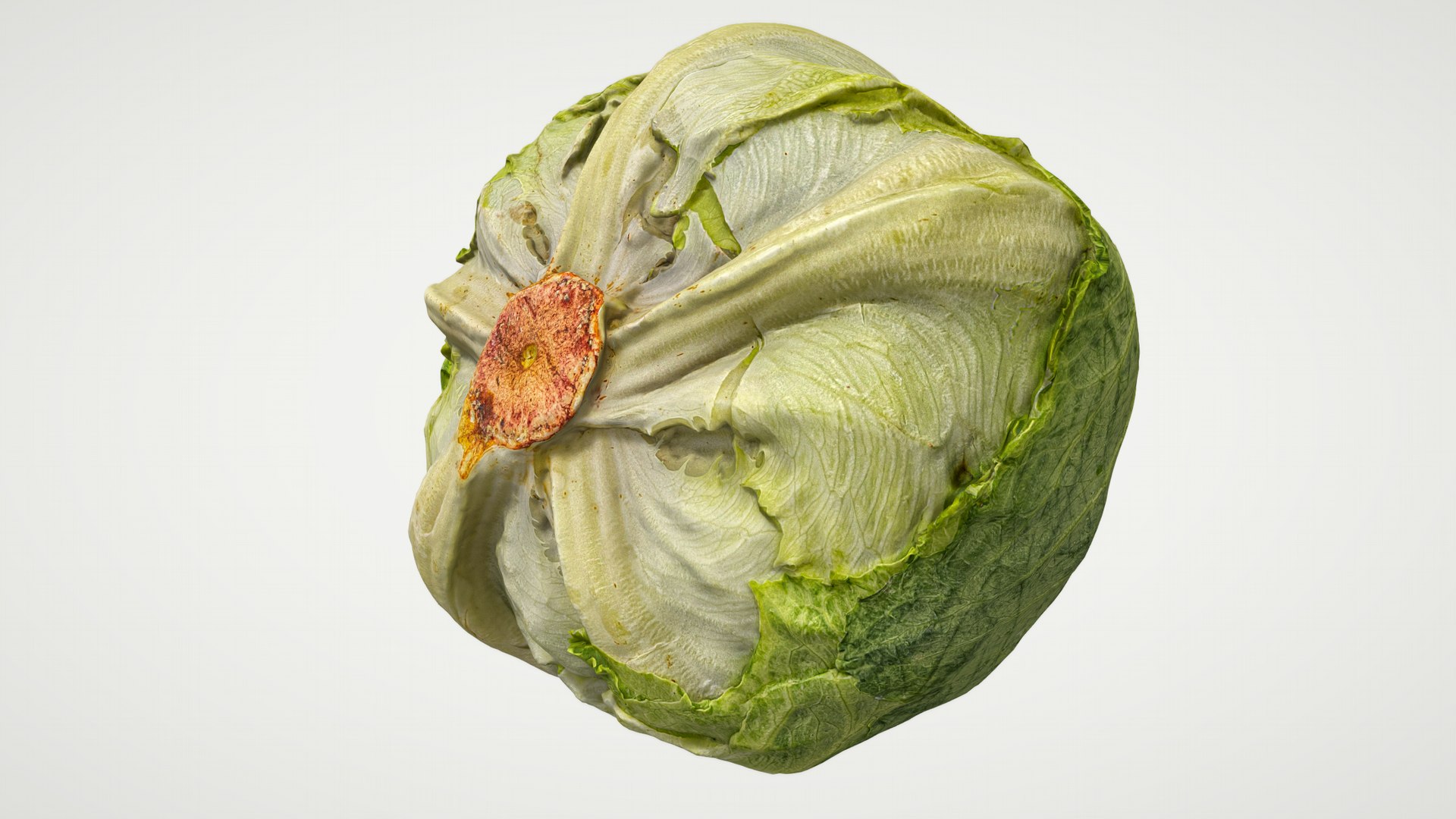 3D 8k Lettuce with 3 LODs model - TurboSquid 1811884