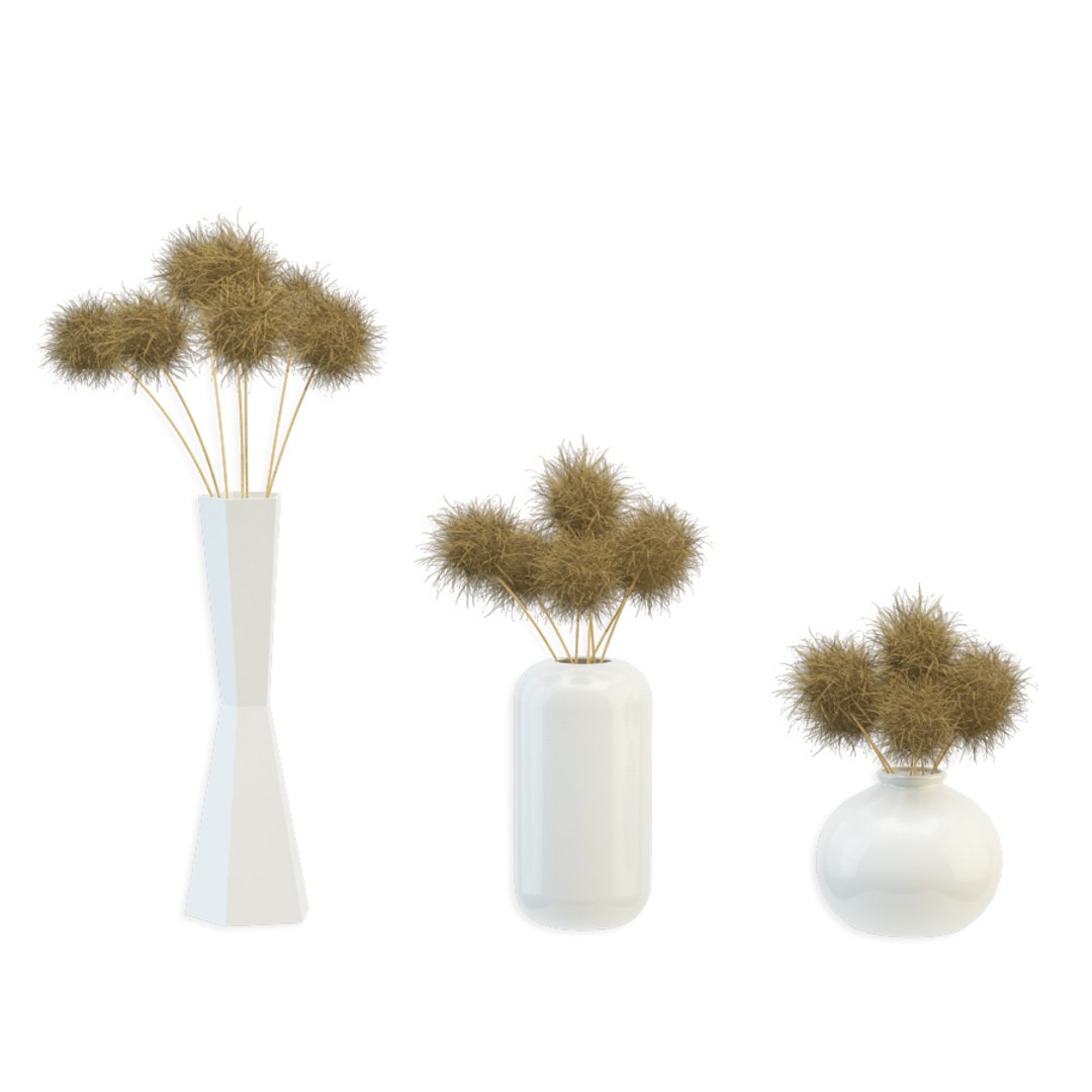 3D model bouquet dried flowers - TurboSquid 1472107