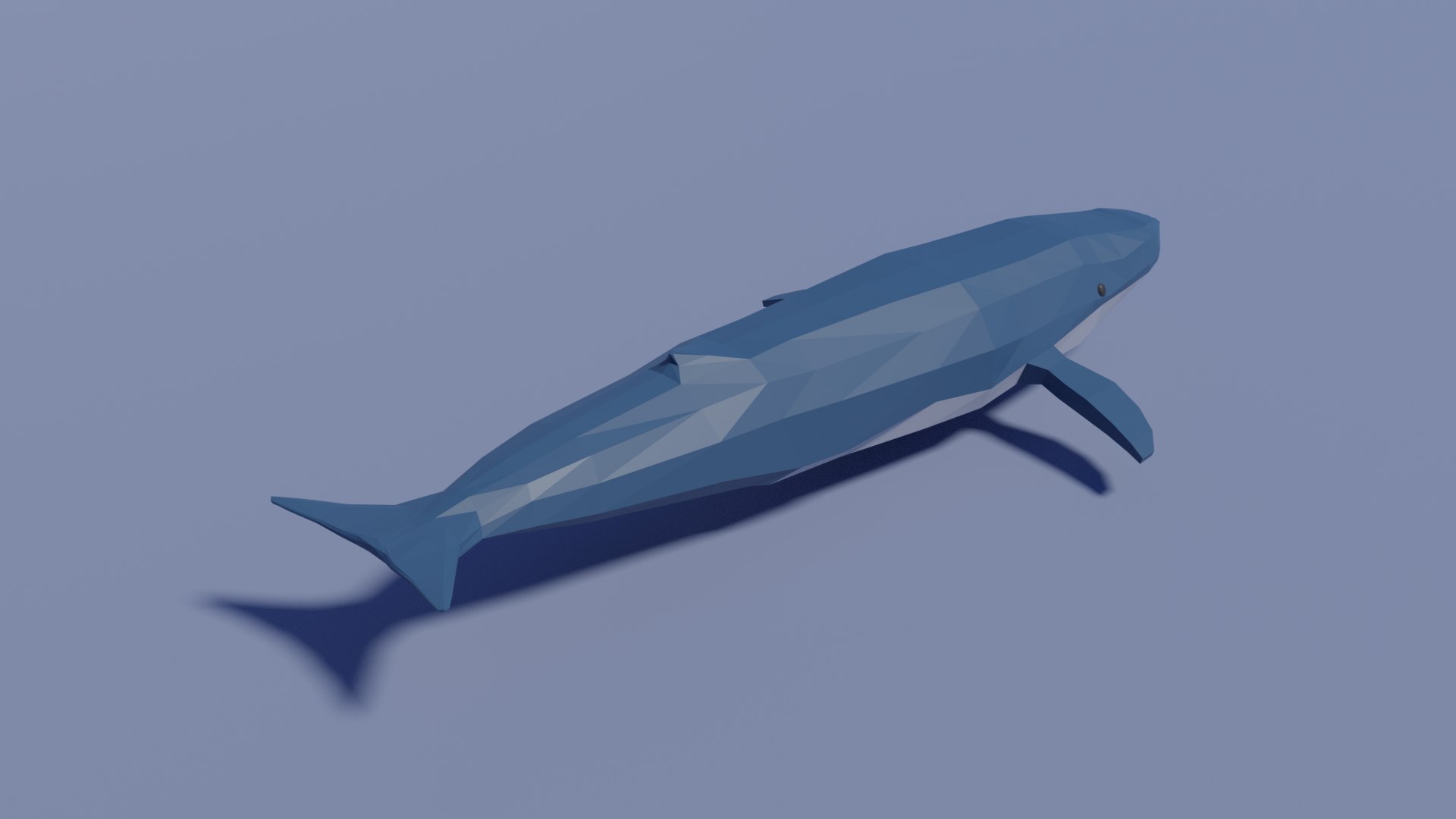 3D Blue Whale Model - TurboSquid 1660412