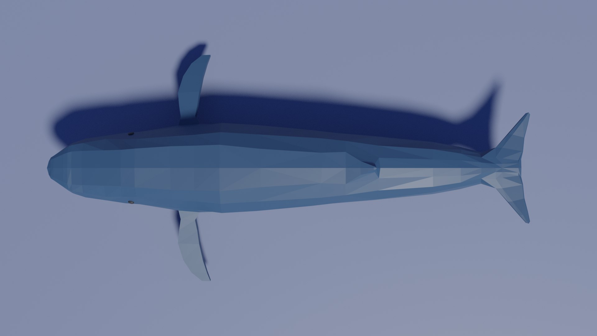 3D Blue Whale Model - TurboSquid 1660412
