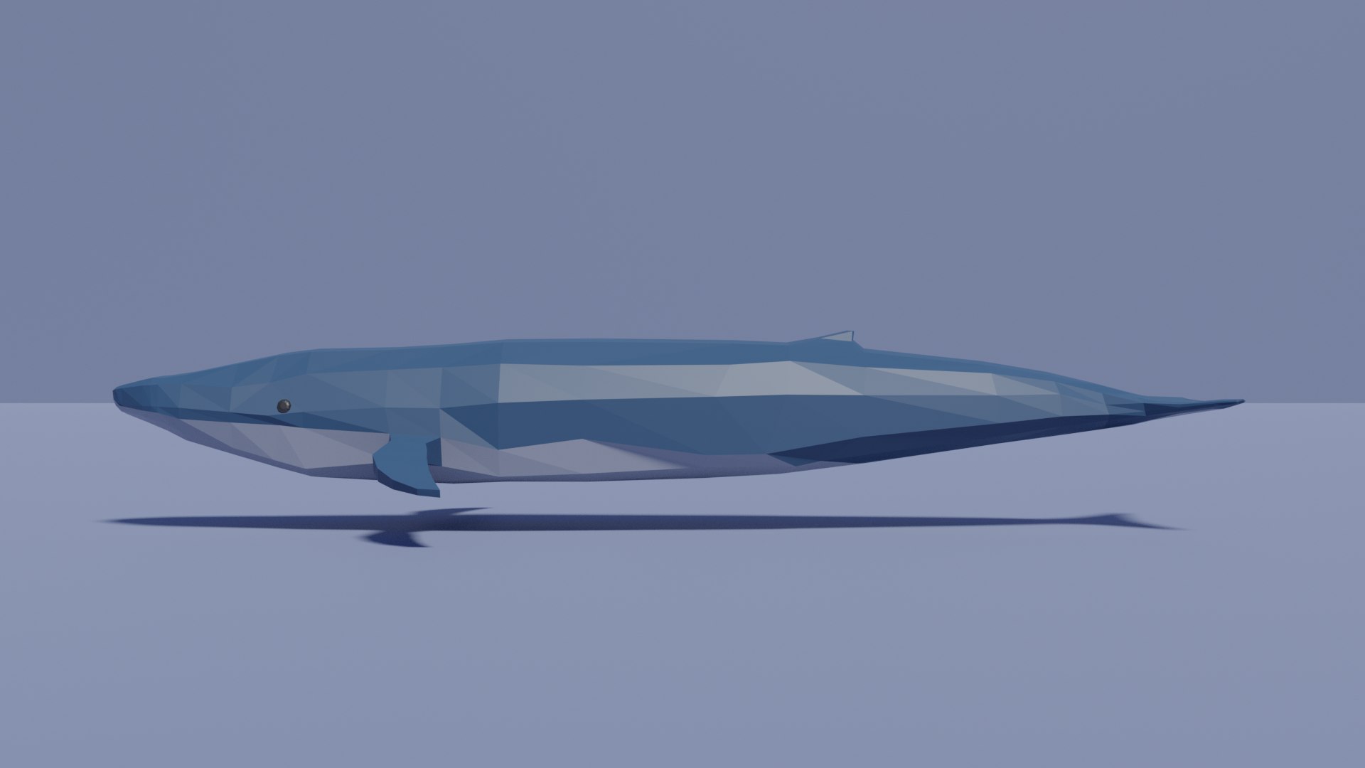 3D Blue Whale Model - TurboSquid 1660412