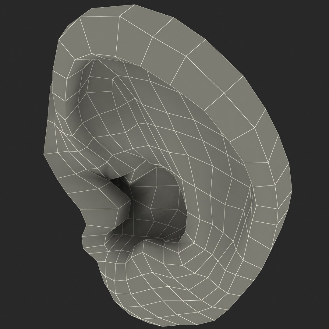 Human Ear 3ds