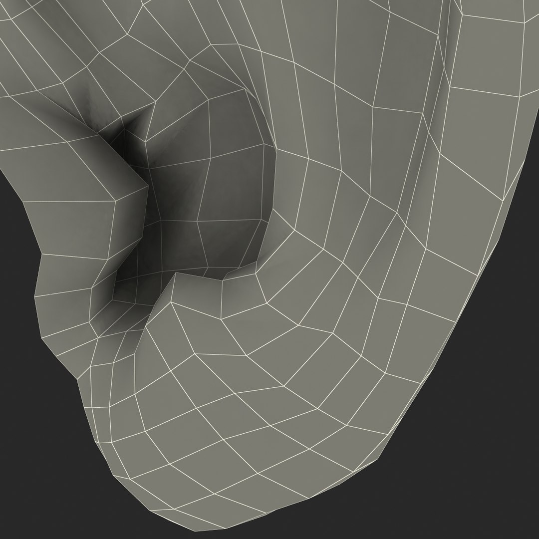 Human Ear 3ds