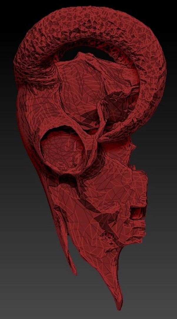 3d Ram Skull Model