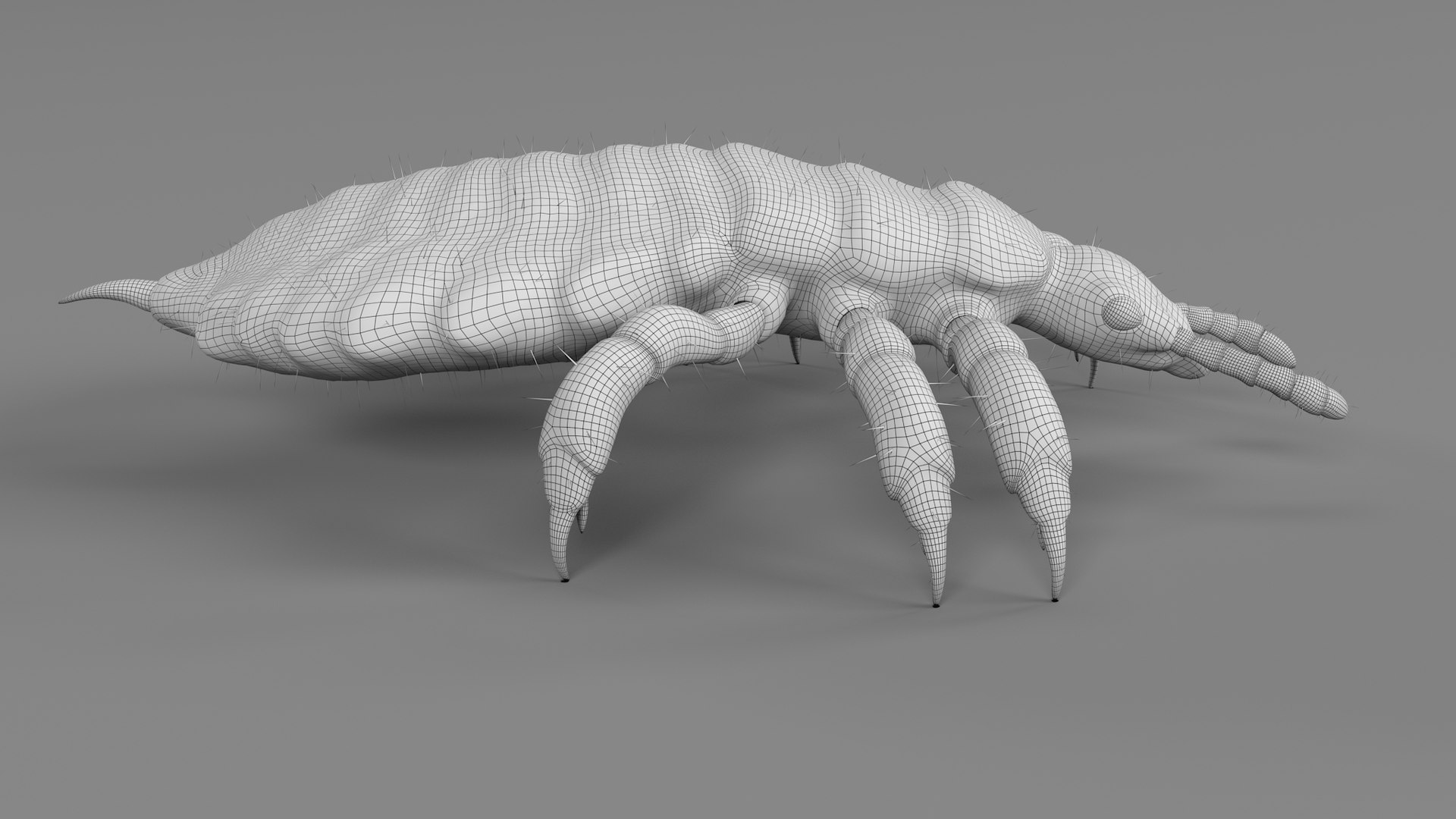 Photorealistic Animated Lice 3D - TurboSquid 2264282