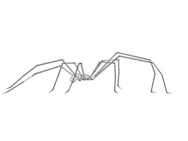daddy long legs 3d model