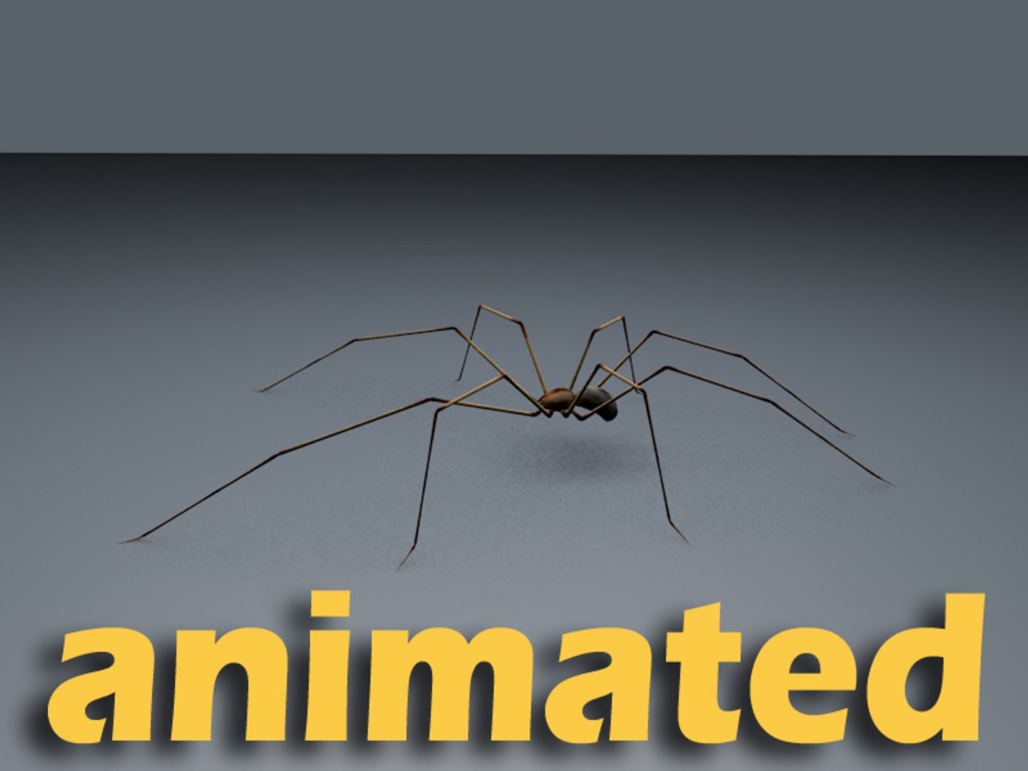 Daddy Long Legs 3d Model