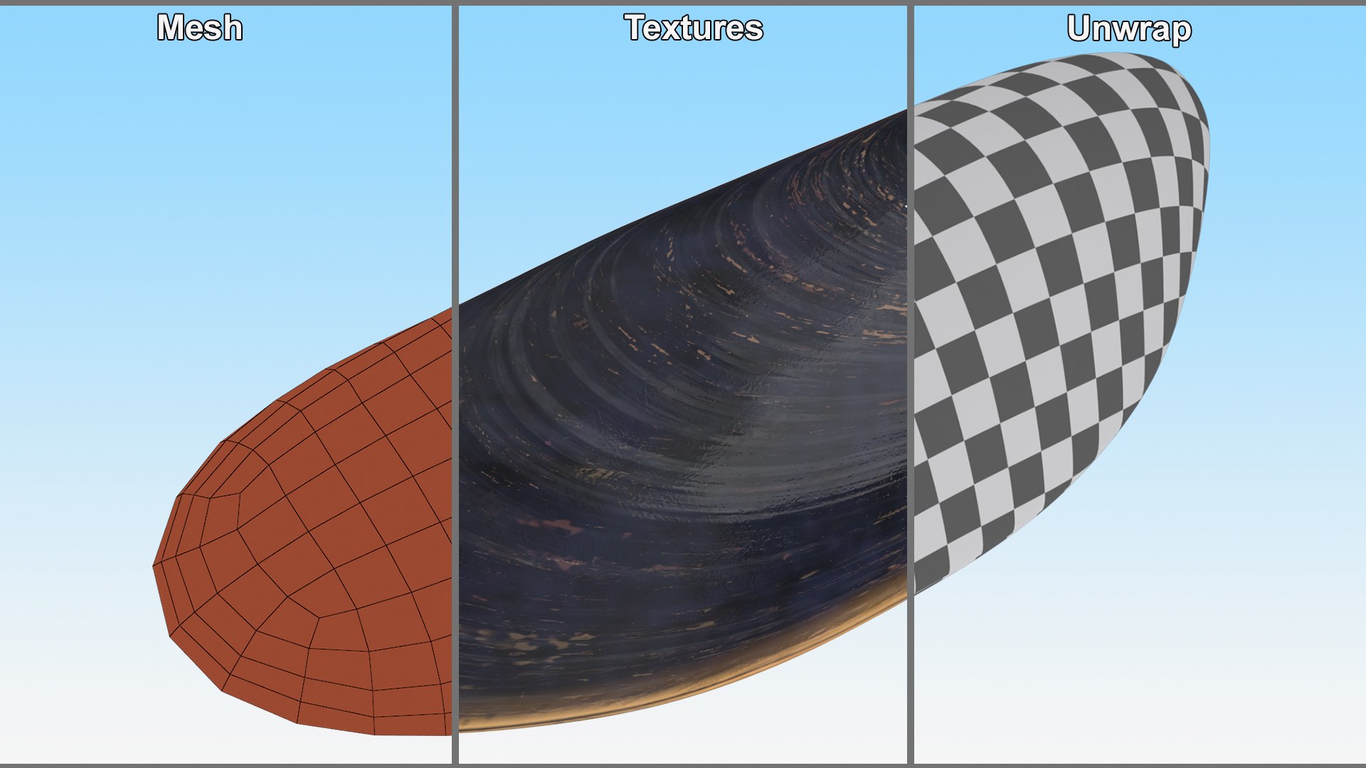 3D Realistic Clam Shell - TurboSquid 2227904