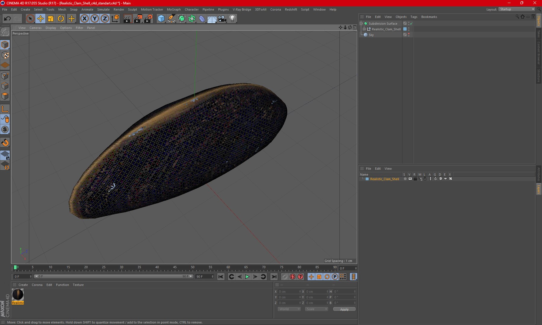 3D Realistic Clam Shell - TurboSquid 2227904