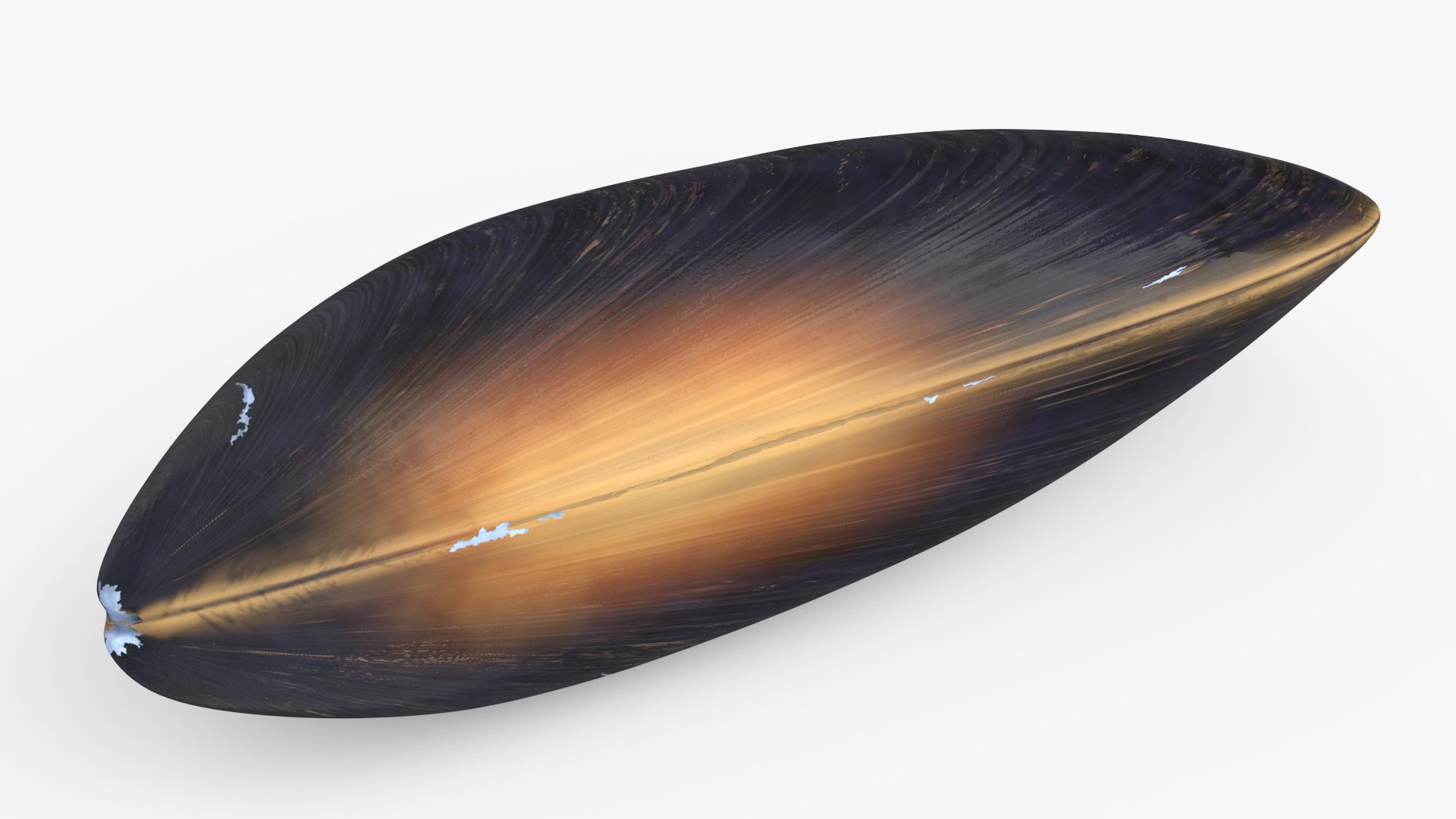 3D Realistic Clam Shell - TurboSquid 2227904