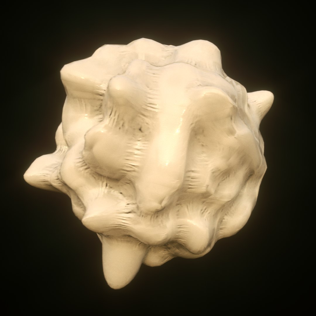 White Blood Cell Leukocyte Model - TurboSquid 1393482