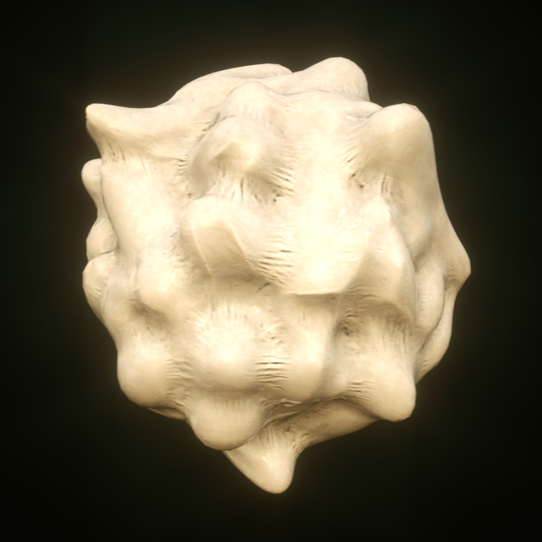 White Blood Cell Leukocyte Model - TurboSquid 1393482