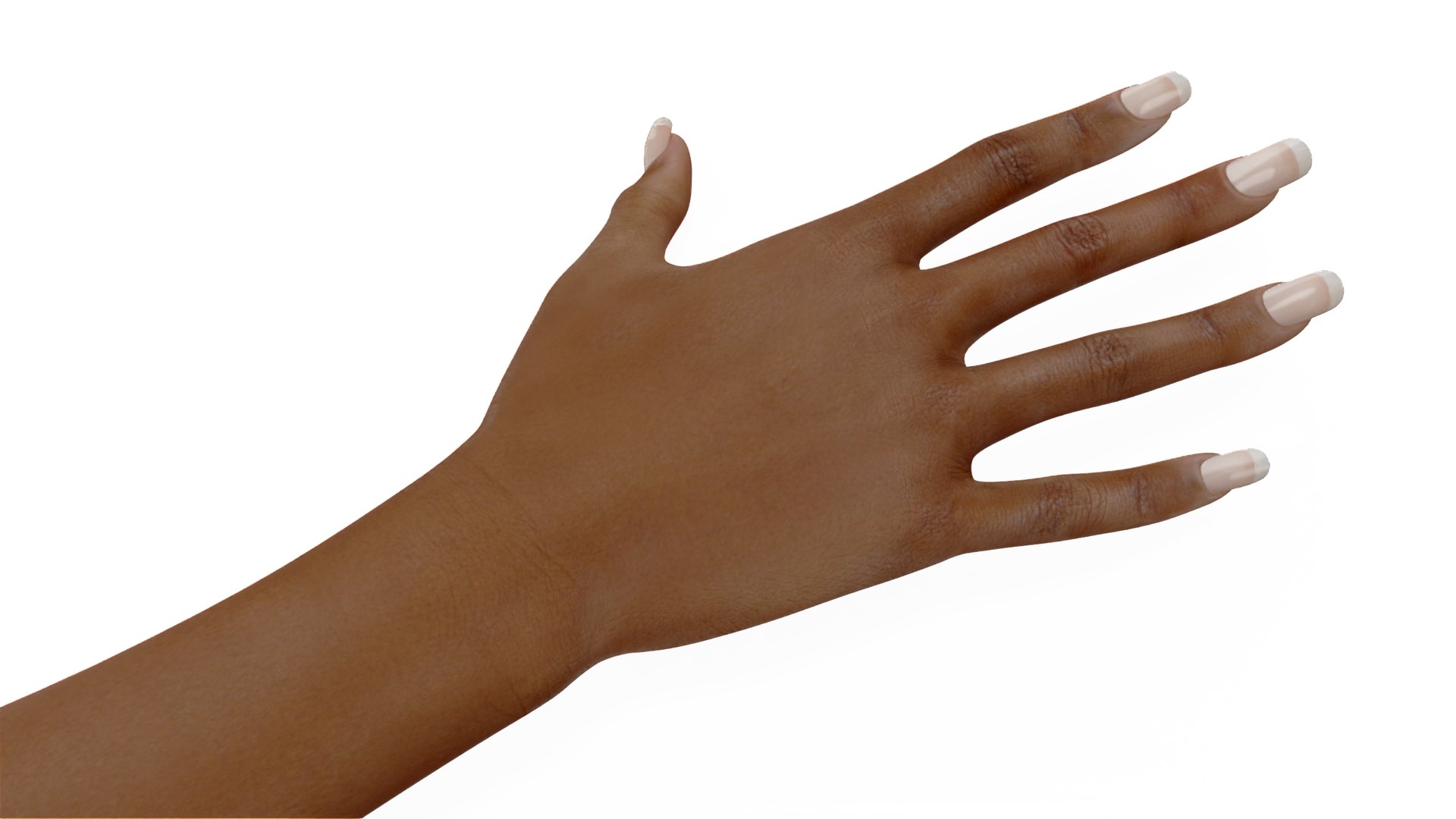3D Brown Skinned Female Hand Base Pose - TurboSquid 2169085