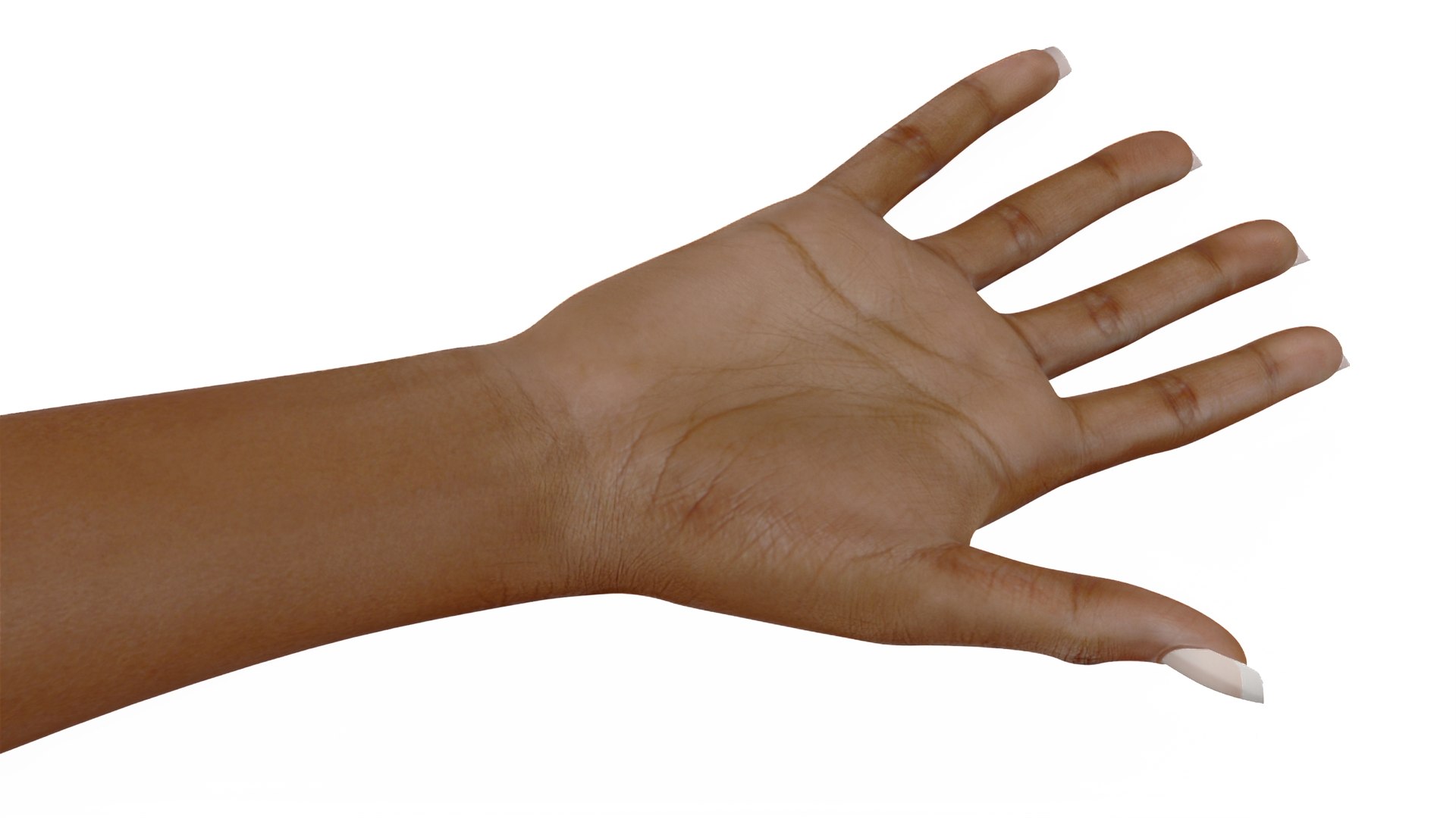 3D Brown Skinned Female Hand Base Pose - TurboSquid 2169085