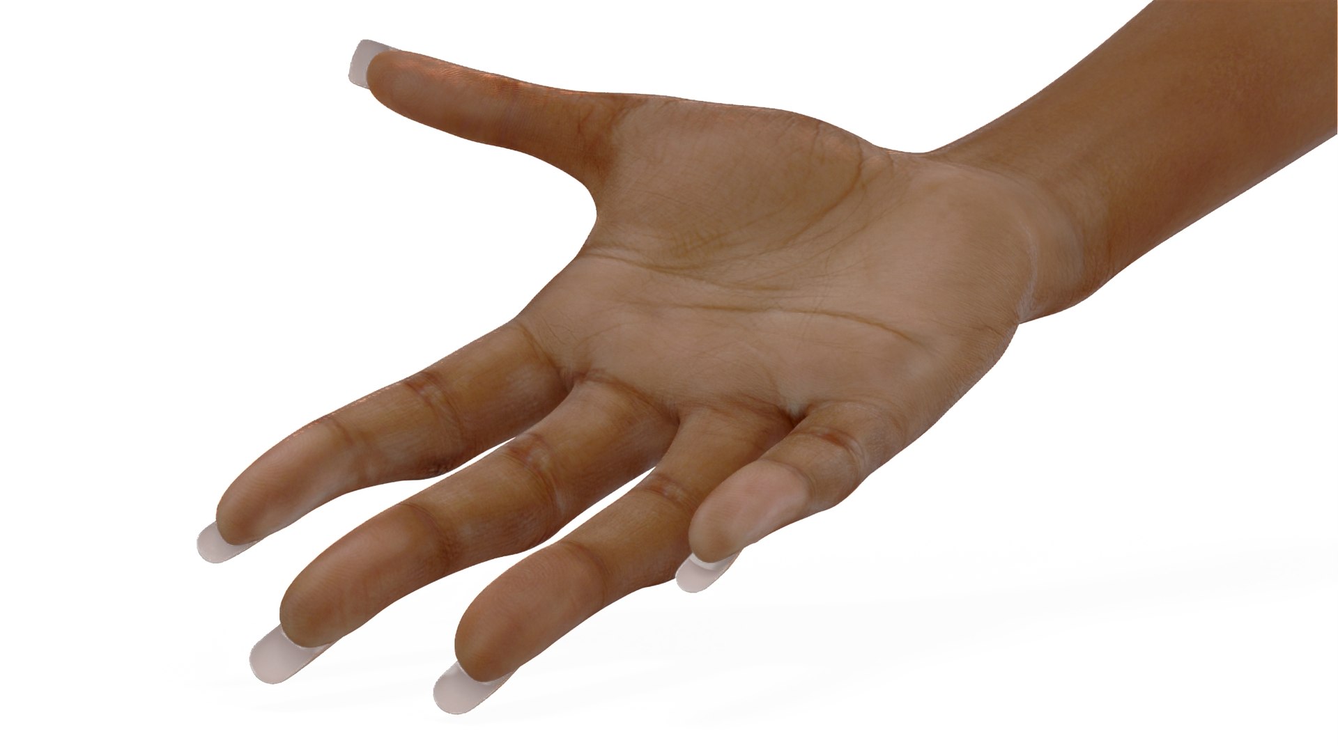 3D Brown Skinned Female Hand Base Pose - TurboSquid 2169085