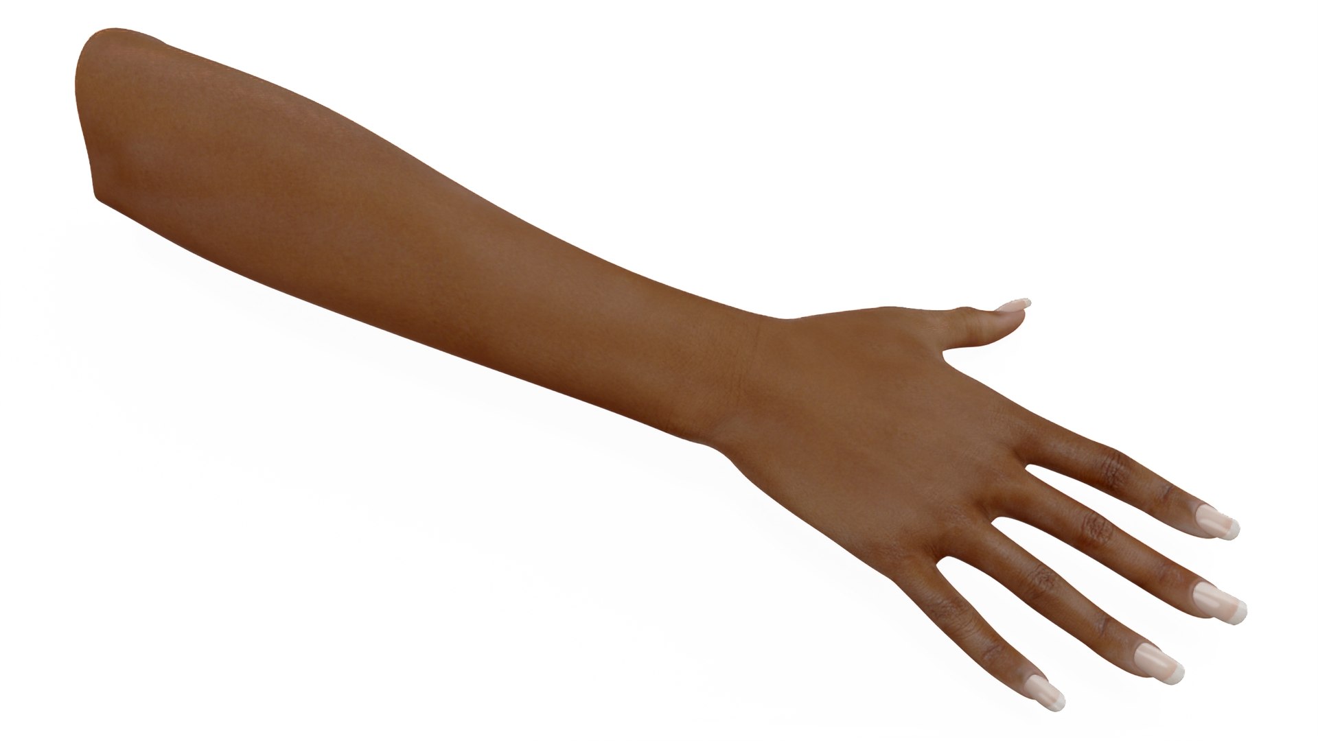 3D Brown Skinned Female Hand Base Pose - TurboSquid 2169085