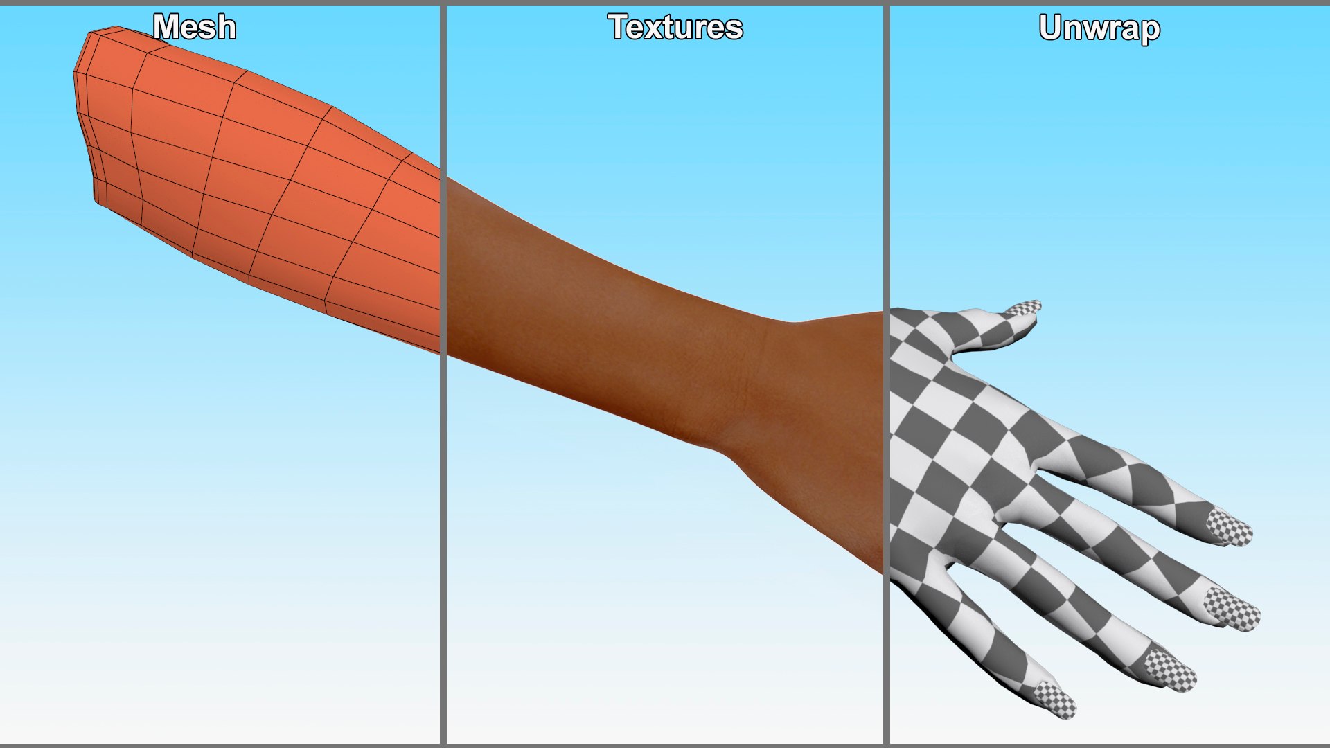 3D Brown Skinned Female Hand Base Pose - TurboSquid 2169085