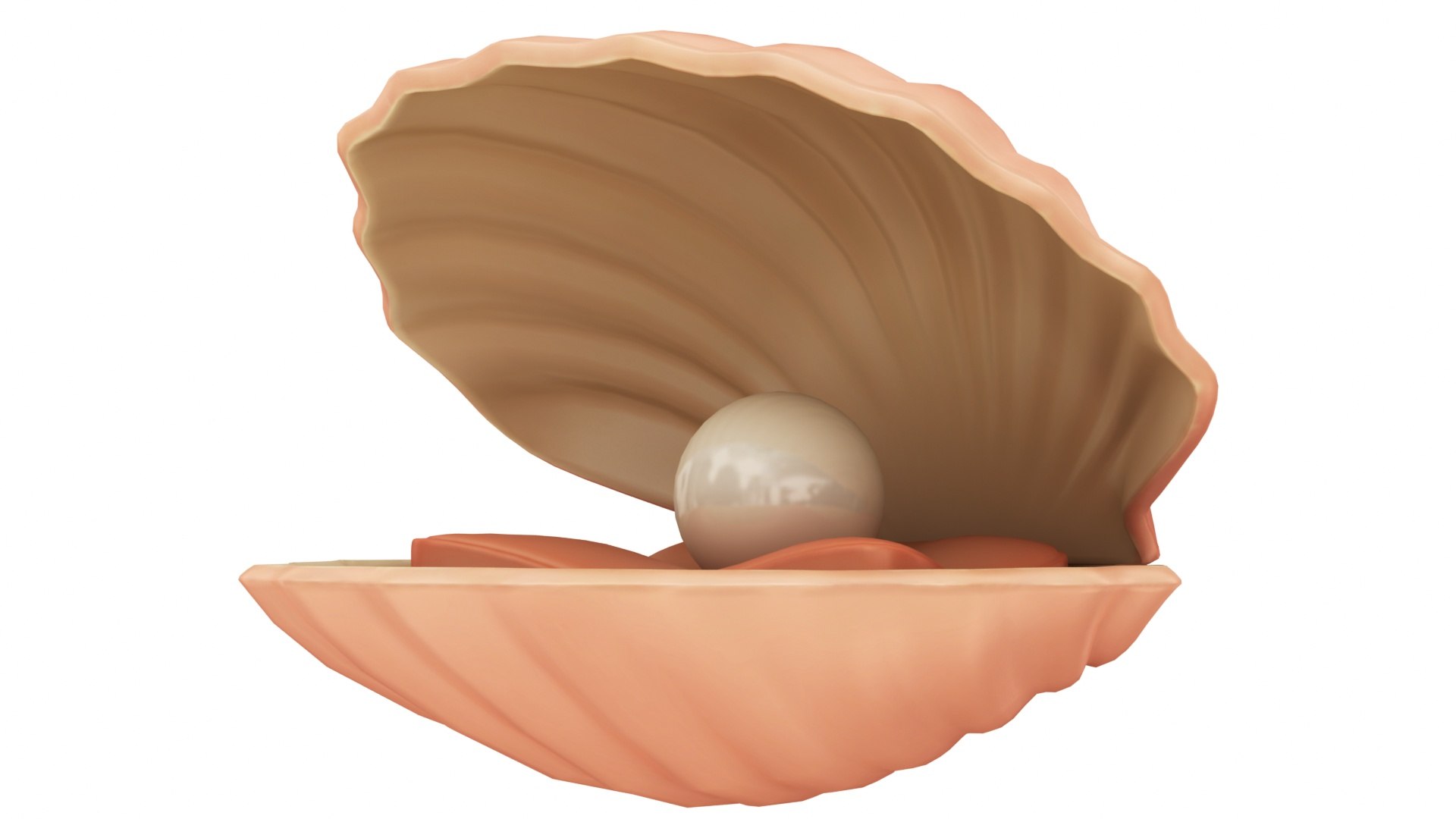 Cartoon Sea Shell Collection 3D - TurboSquid 2088771