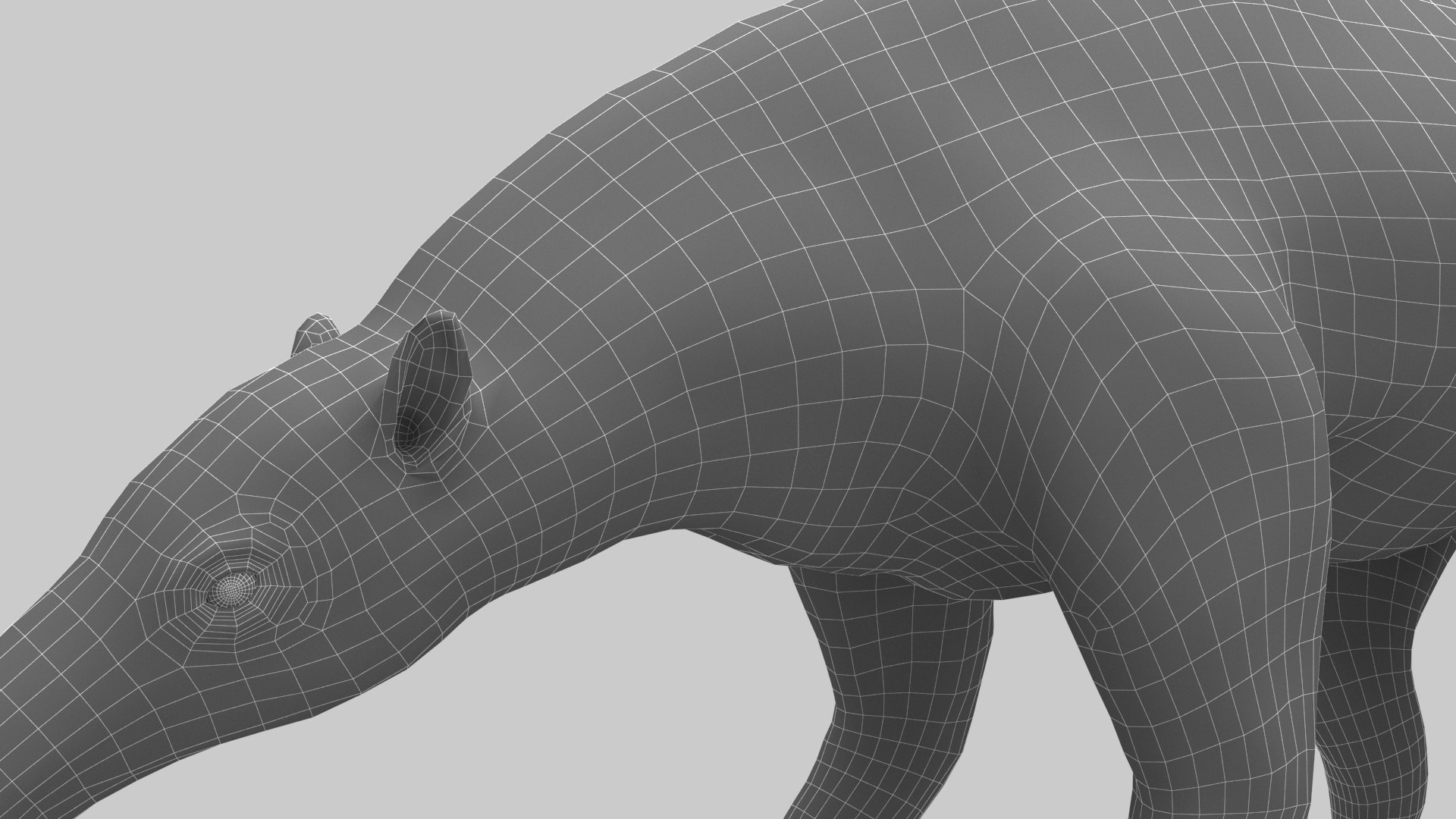 3D Giant Anteater Model - TurboSquid 1589453