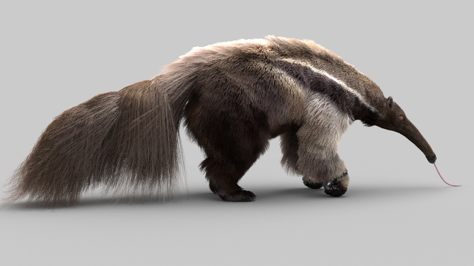 3D Giant Anteater Model - TurboSquid 1589453