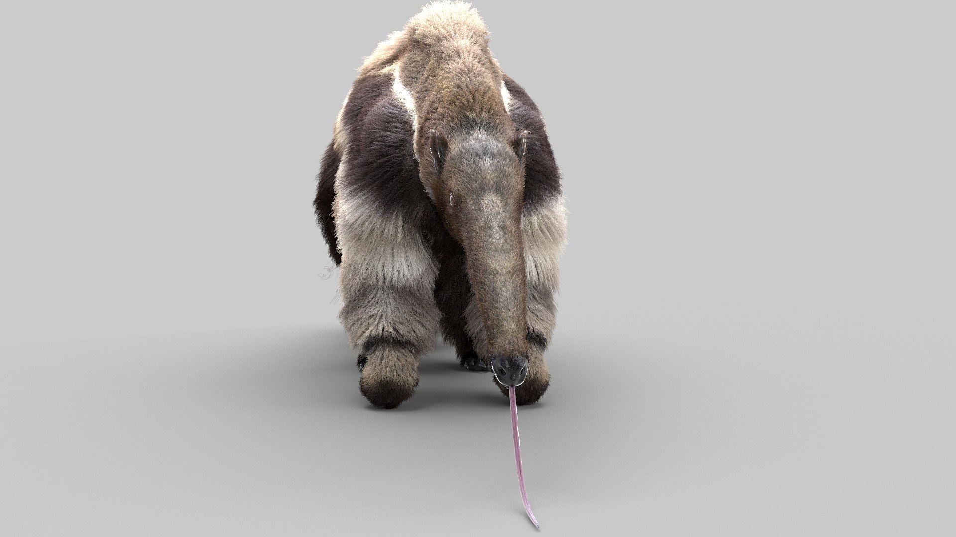 3D Giant Anteater Model - TurboSquid 1589453