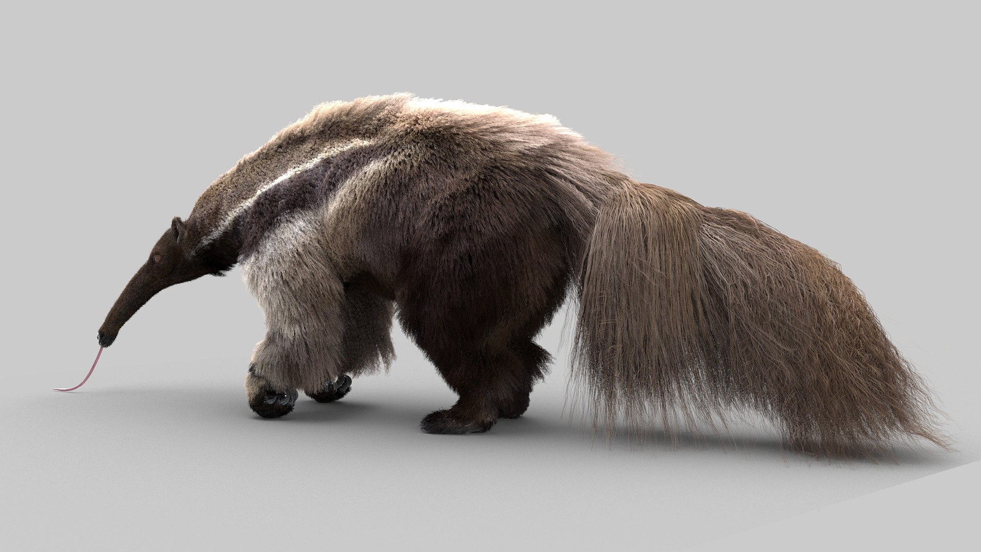 3D Giant Anteater Model - TurboSquid 1589453