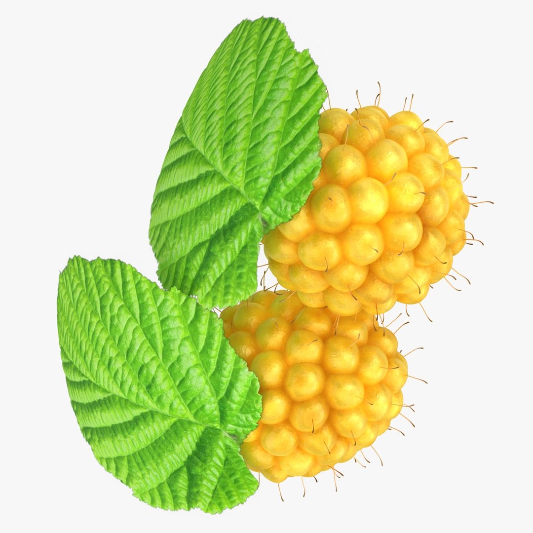 3ds realistic raspberry yellow