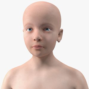 Complete Male Anatomy Blender Models for Download | TurboSquid