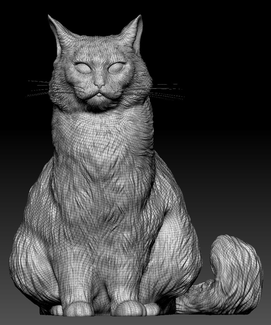 Fluffy Cat 15 3D Model - TurboSquid 1750993
