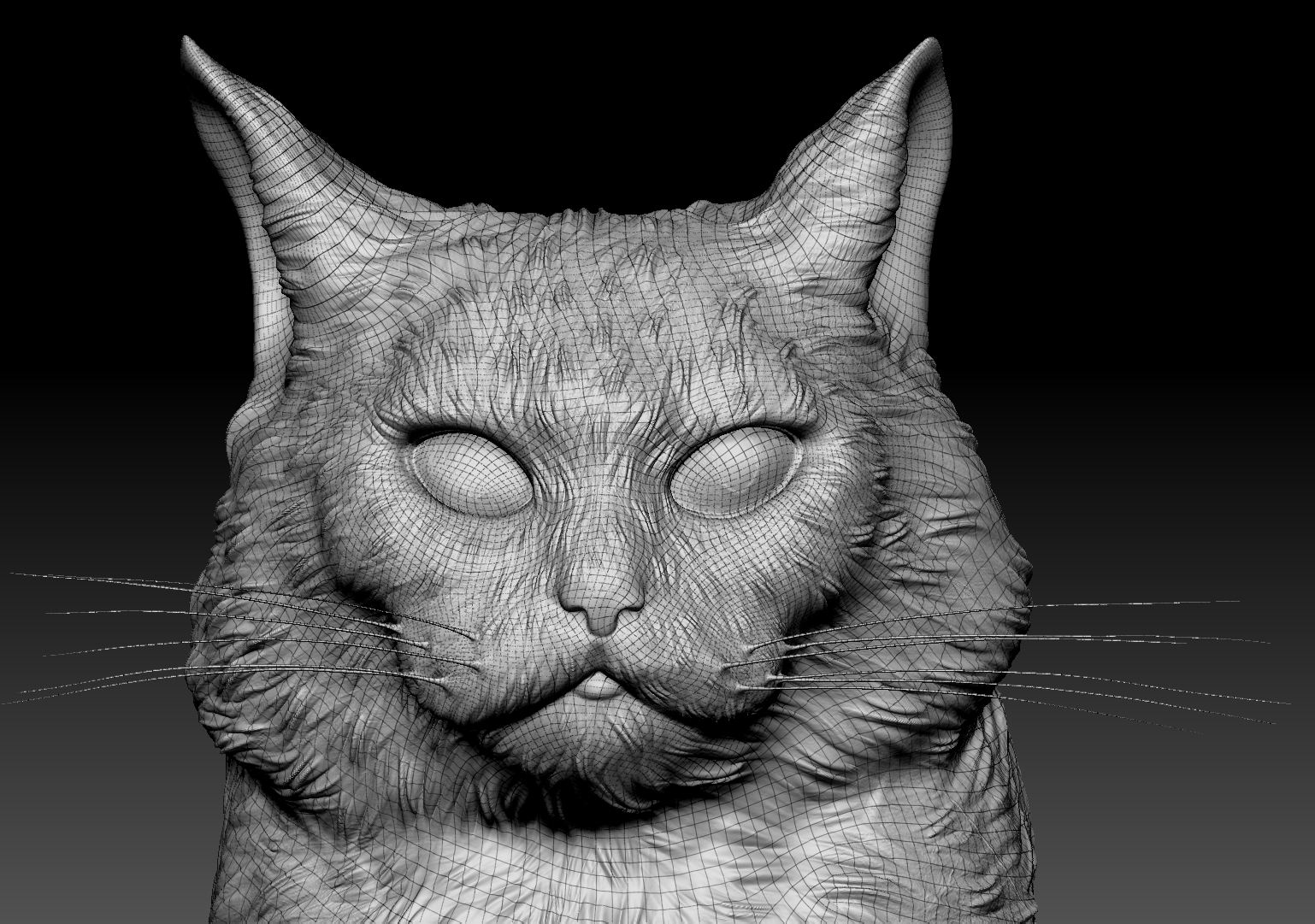 Fluffy cat 15 3D model - TurboSquid 1750993