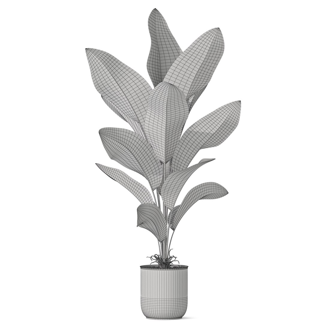 3D Plants Collection 1189 Model - TurboSquid 2381647
