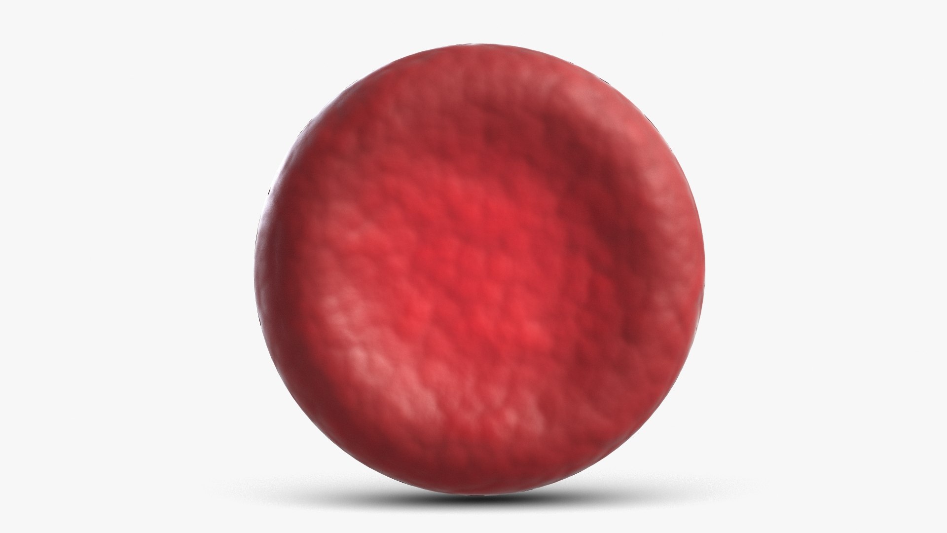 3D Blood Cell - TurboSquid 1447158