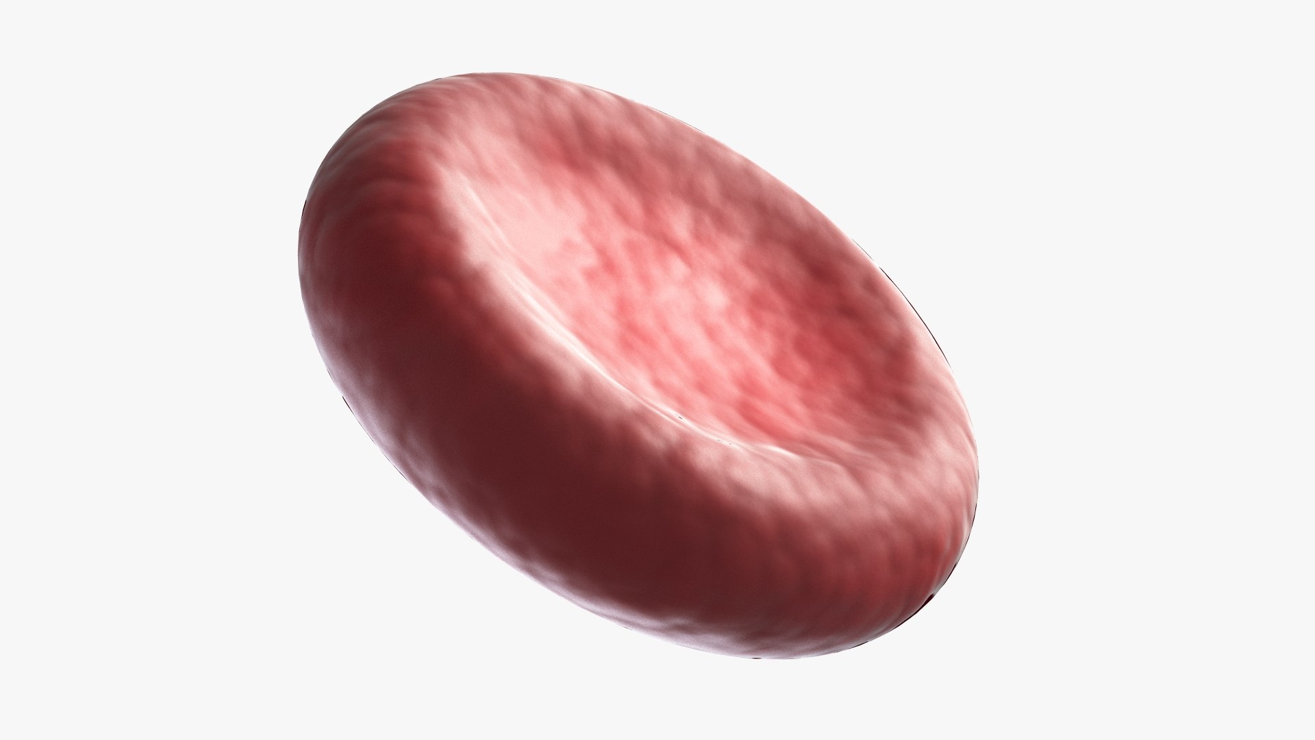 3D Blood Cell - TurboSquid 1447158