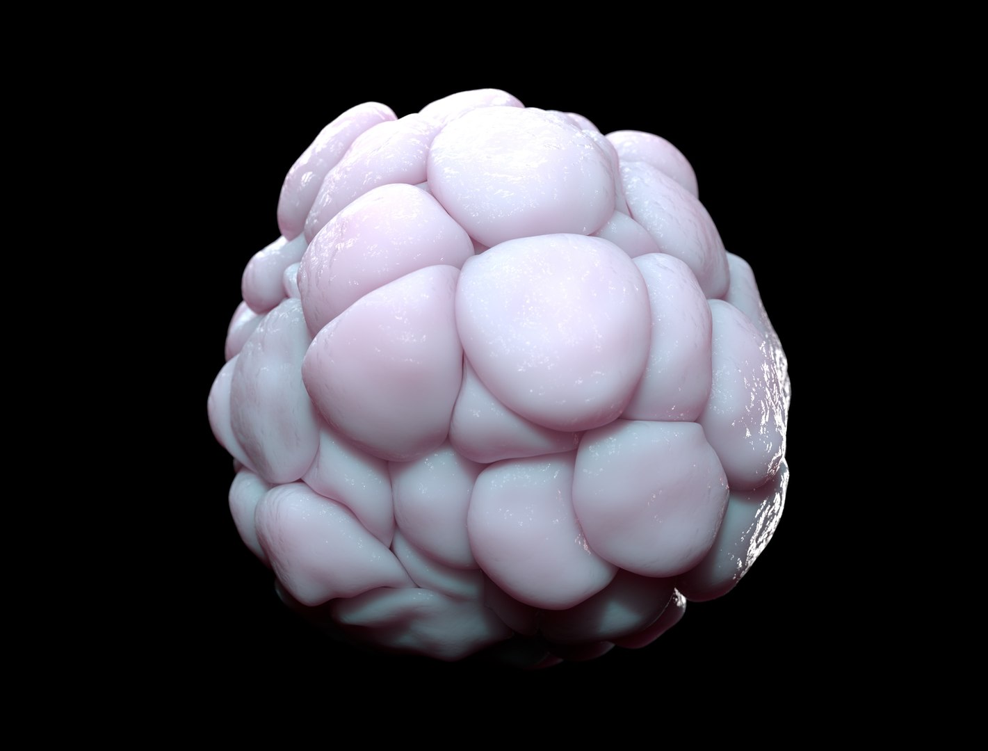 Multicellular Spheroid Cell 3D Model - TurboSquid 1525210