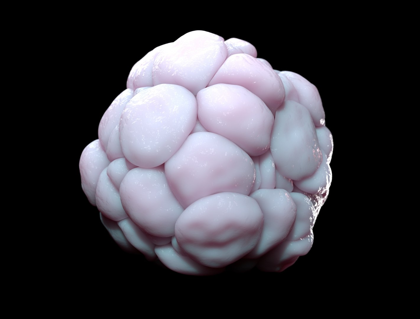 Multicellular Spheroid Cell 3D Model - TurboSquid 1525210