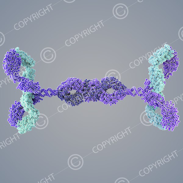 Science 3D model - TurboSquid 1372924