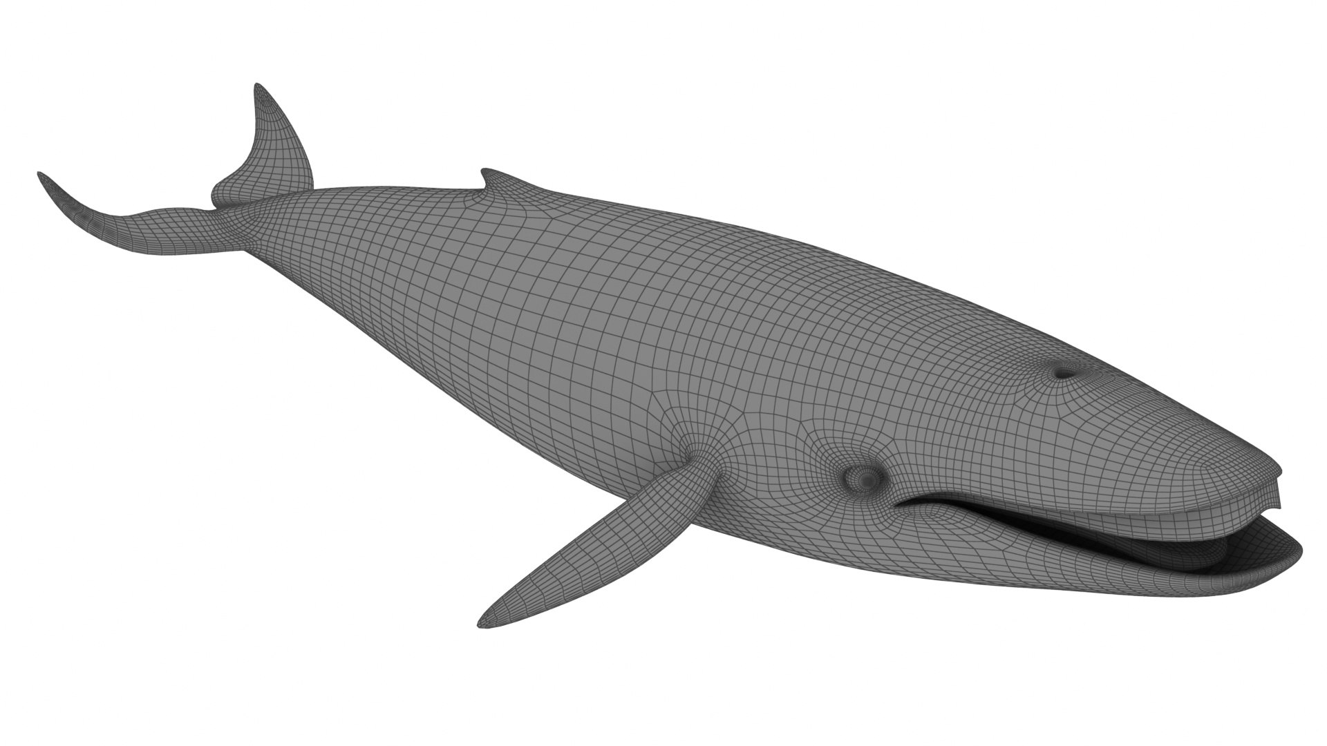 Cartoon Blue Whale 3D Model - TurboSquid 2095736