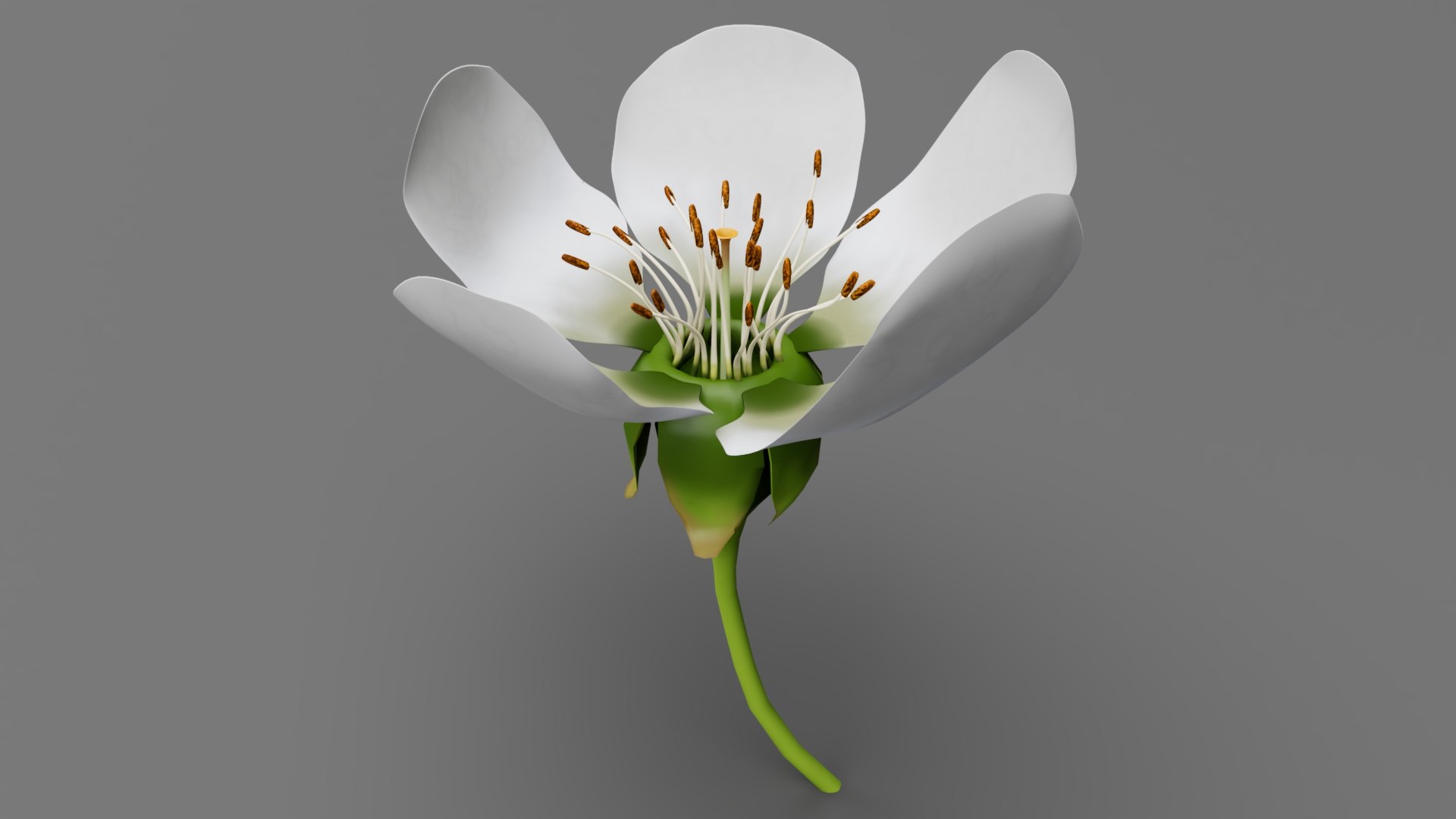 3D Lily Flower - TurboSquid 2013937