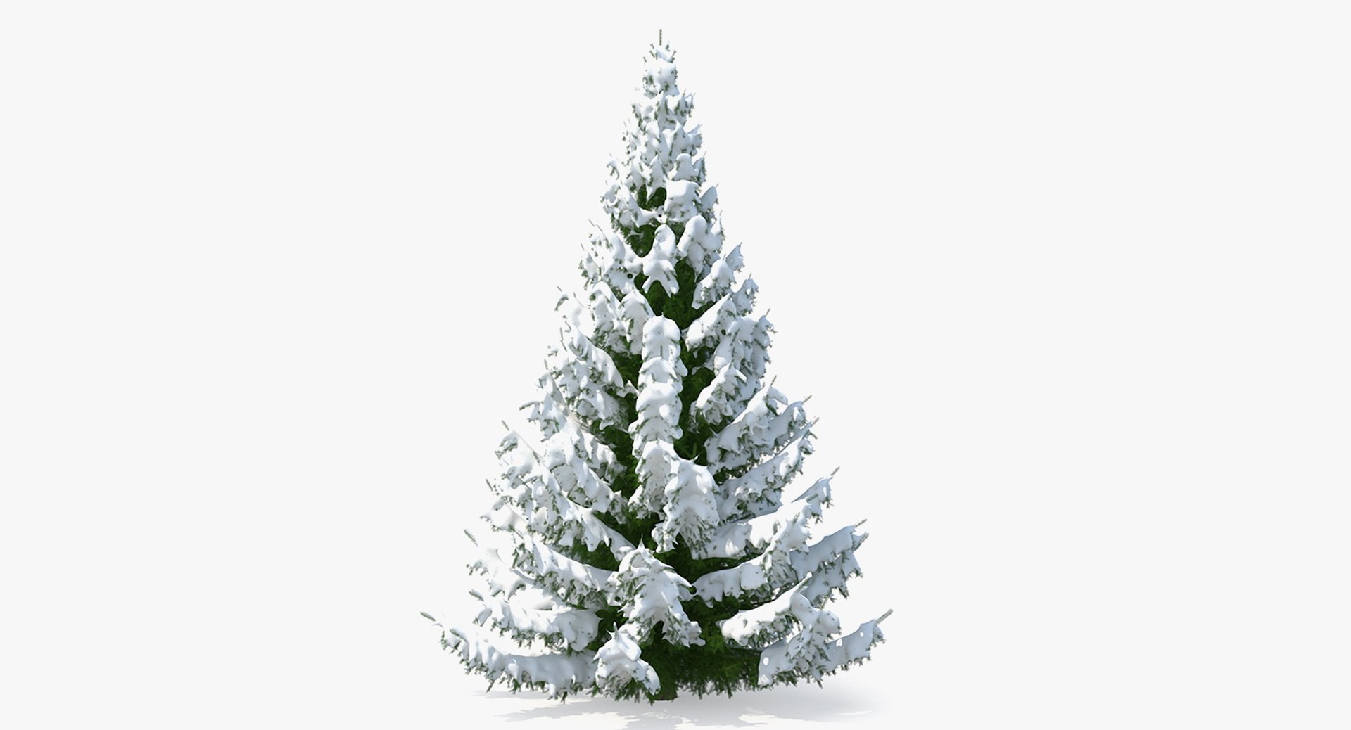 Winter Snow Spruce Tree 3D Model - TurboSquid 1434871