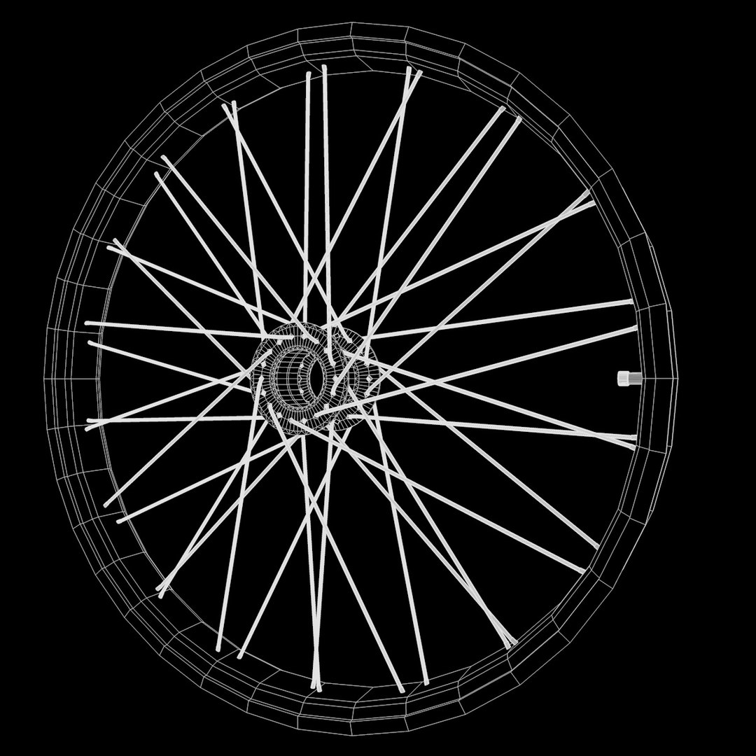 Racing Bicycle Wheels 3d Model